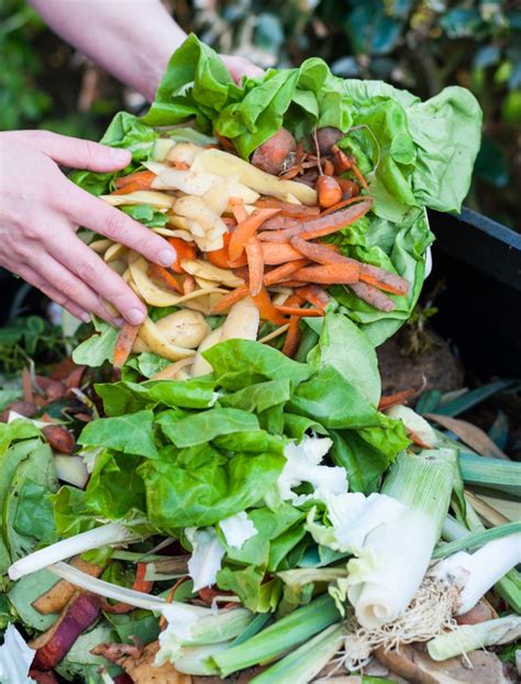 Compost Troubleshooting Earth Haulers Inc