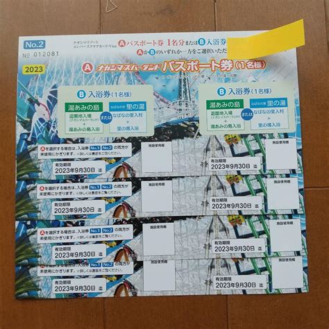 ナガシマ スパーランド パスポート 大人4枚 ナガシマスパーランド