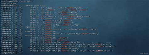 Ubuntu从安装python到安装虚拟环境virtualenv的完整过程ubuntu22 Python12 设置虚拟环境 Csdn博客