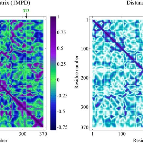 Visualization Of The Cross Correlation Matrix And The Dynamical