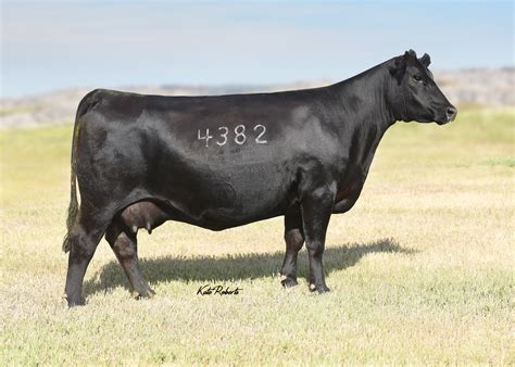Kr Lass 8246 Krebs Ranch