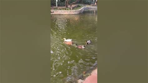 Kbhi Kbhi Inmai Bhi Khona Chaiye ️😌🌈 Music Love Hindisong