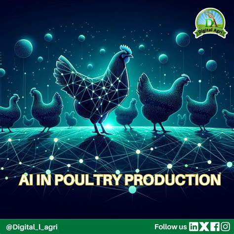 Poultryfarming Automation Robotics Efficiency Farminnovation