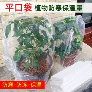 透明袋绿植防冻保温袋塑料膜花卉盆栽过冬保护罩树木防寒保暖防尘 阿里巴巴