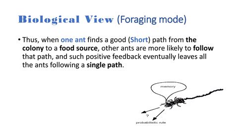 Ant Colony Optimization Aco Pptx