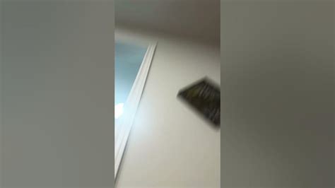 Gravity Viedeo Youtube