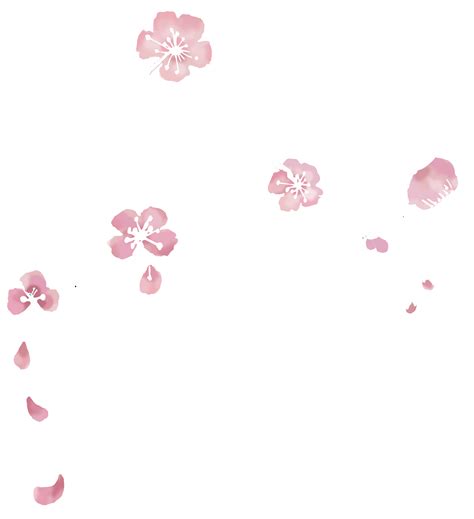 Masaaki Hatsumi Bujinkan Dojo Rennes