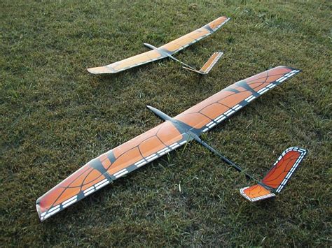 Butterfly Scheme On Model Gliders Rc Glider Aircraft Design
