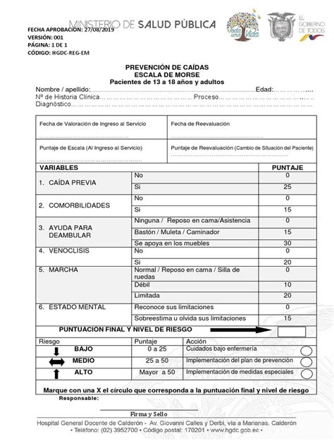 Hgdc Reg Em Registro De Escala De Morse Pdf Pdf Medicina Clinica
