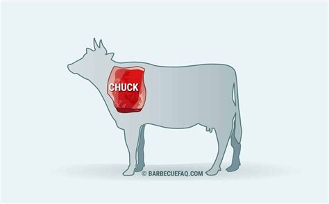 Beef Chuck Primal Cuts Location And More Barbecue Faq