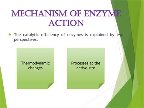 Enzyme Structure And Function [autosaved] 1 Pptx