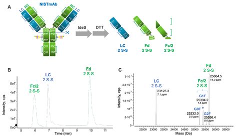 Lead Orbital Diagram At James Jain Blog