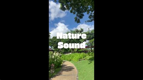 아빠가 만든 우리아기 백색소음feat 세부 Youtube