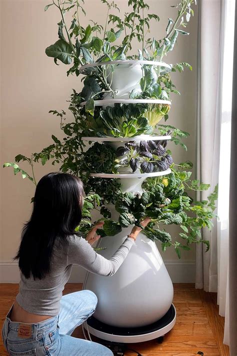 How To Use Your Own Seeds With Lettuce Grow