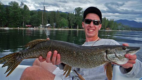 Bass In The Flathead Bigfork Anglers