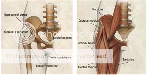 Exercises To Bulk Up Hip Musclesminimize The Look Of Hip Dip R