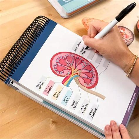 1 This Anatomy Label Lab Workbook 100 Full Color Dry Eras Tiktok Shop