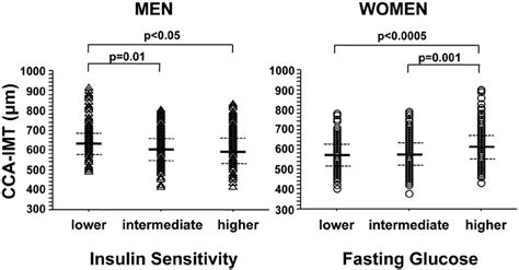 Baseline Common Carotid Artery Intima Media Thickness Cca Imt By