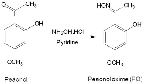 Paeonol Oxime PO 1 2 Hydroxy 4 Methoxy Phenyl Ethanone Oxime Was