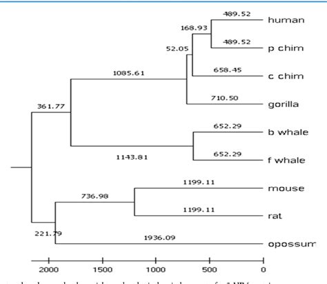 Figure 1 From Mathematical Approach To Protein Sequence Comparison Based On Physiochemical