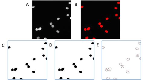 Informatics Analysis Pipeline Download Scientific Diagram