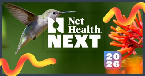 Physical Therapy Documentation Software A Comprehensive Guide Net Health