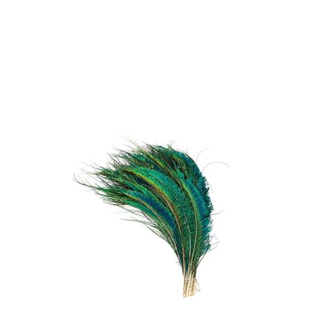 Bulk Peacock Feathers By Zucker Feather Products Inc