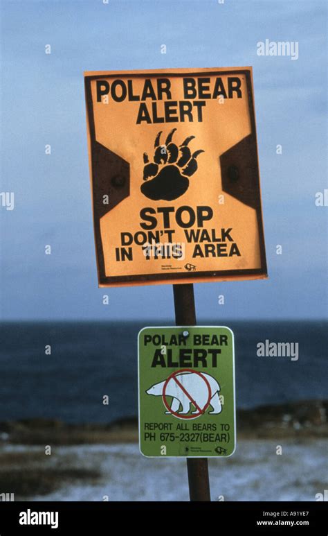 Canada Manitoba Polar Bear Alert Sign Near Shore Of Hudson Bay At The