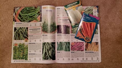 Small Space Gardening Learning How To Read Seed Catalogs And Packets