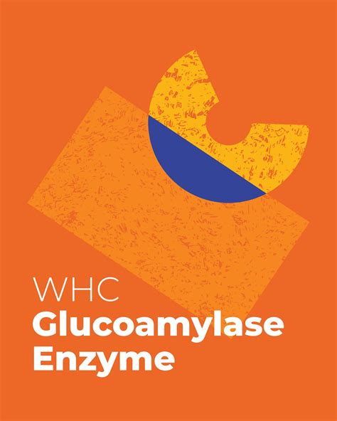 Whc Glucoamylase Enzyme Whc Lab Us