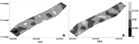 maps of the spatial distribution of the degree of pertinence dp for