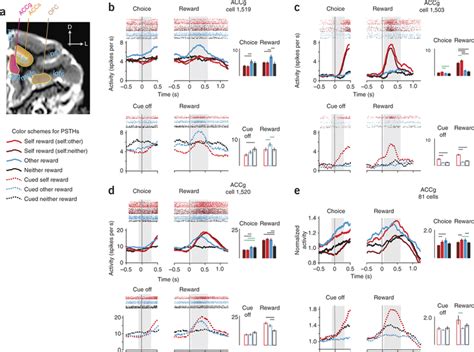 Single Neurons And Population Responses From Accga Structural