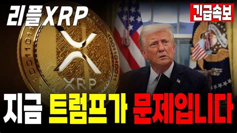 리플 전망 엑스알피가 문제 있는게 아닙니다 트럼프가 문제입니다 리플 Xrp 엑스알피 Sec 리플소송 코인의대가