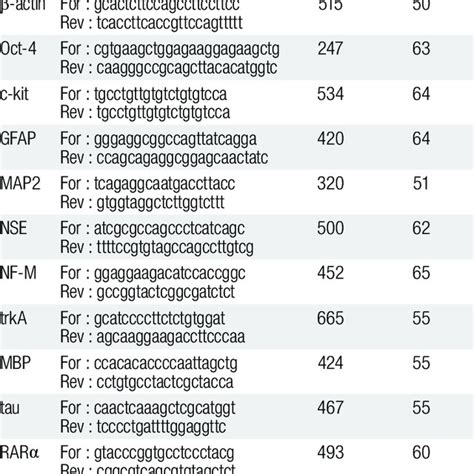 Rt Pcr Primer Sequences And Product Sizes Download Table