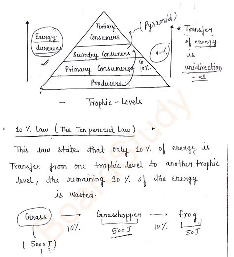 Class 10 Science Chapter 15 Our Environment Handwritten Notes Pdf