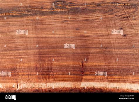 Tree Plank Texture For Background Cut Tree Trunk Texture Wood Texture