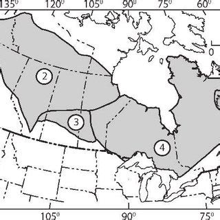 Geographic Distribution Of Phenacomys Ungava Subspecies Are 1 P U