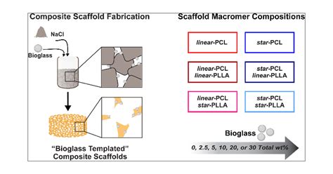 Shape Memory Polymer Bioglass Composite Scaffolds Designed To Heal