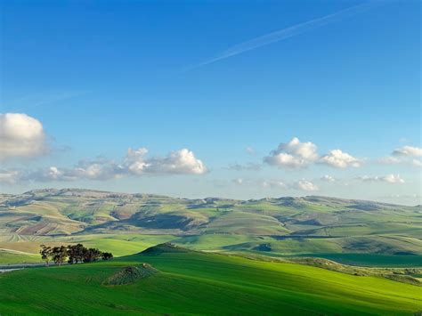 نرجس ‎نرجس‎ Added A New Photo