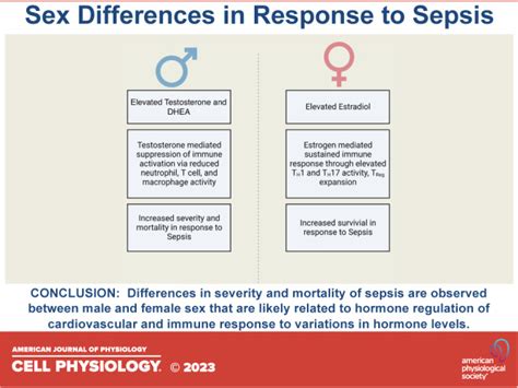 Sex Differences In Cardiovascular Response To Sepsis Pmc
