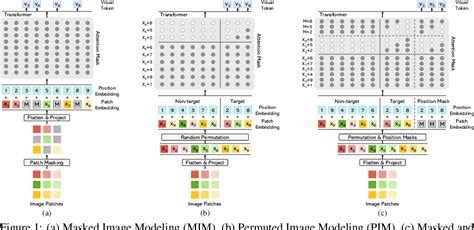 figure 1 from learning to mask and permute visual tokens for vision