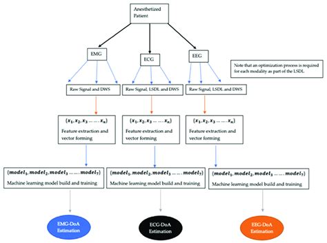 A Hierarchical Flow Diagram Of The Various Analytics Done As Part Of Download Scientific
