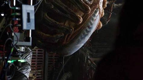 The Xeno Cocoon Scene Left Me Alien Xenomorph Origins