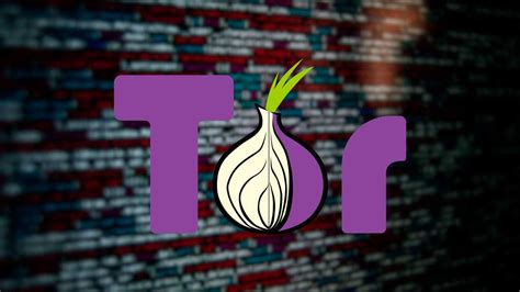 Is It A Good Idea To Use The Tor Browser To Connect To Public Wi Fi