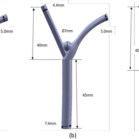 A Simplified Model Of Cca B Simplified Model Of Cca With Saccular