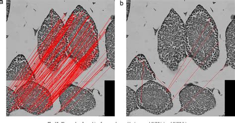 Figure 12 From A Method For Fast Automated Microscope Image Stitching