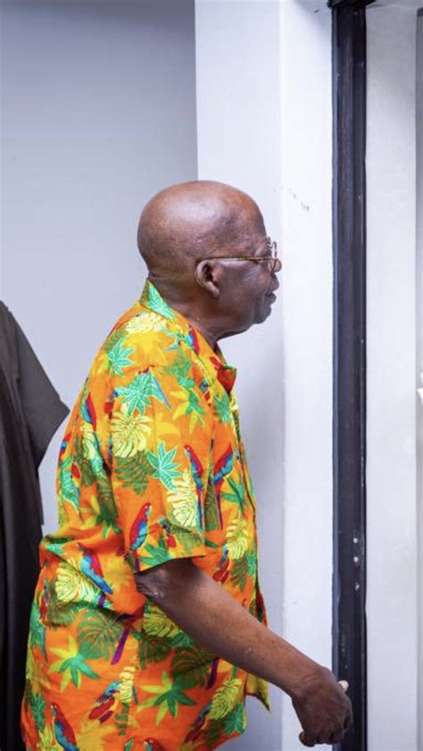 Mackerel How Do I Identify Original From This Fish Food Nigeria