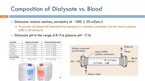 Components Of Final Dialysate At Molly Lake Blog