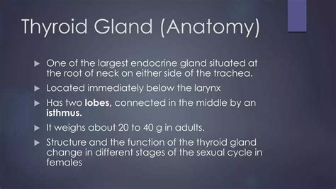 Thyroid Gland Anatomy And Synthesis Pptx