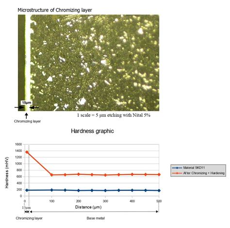 Chromizing Pt Shinto Lance Indonesia